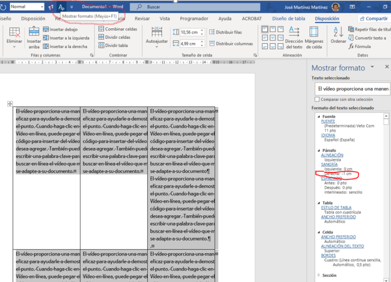 Panel Mostrar formato en Word. - WordExperto